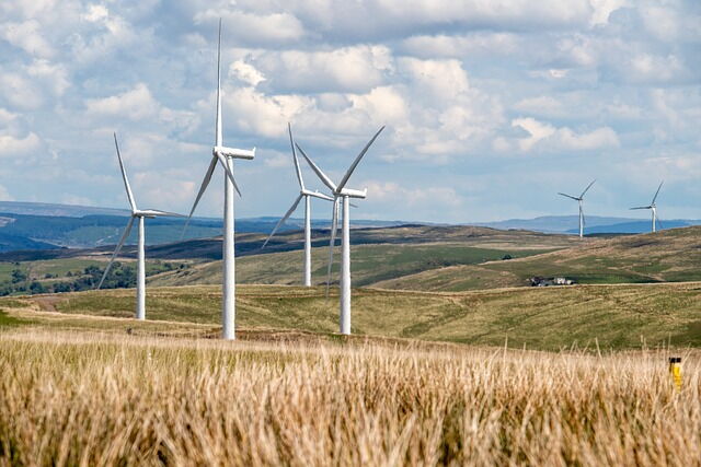 Tauron to build a 30 MW wind farm